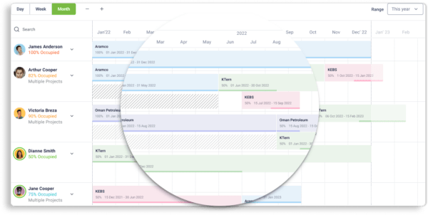 Gantt Chart - KEBS